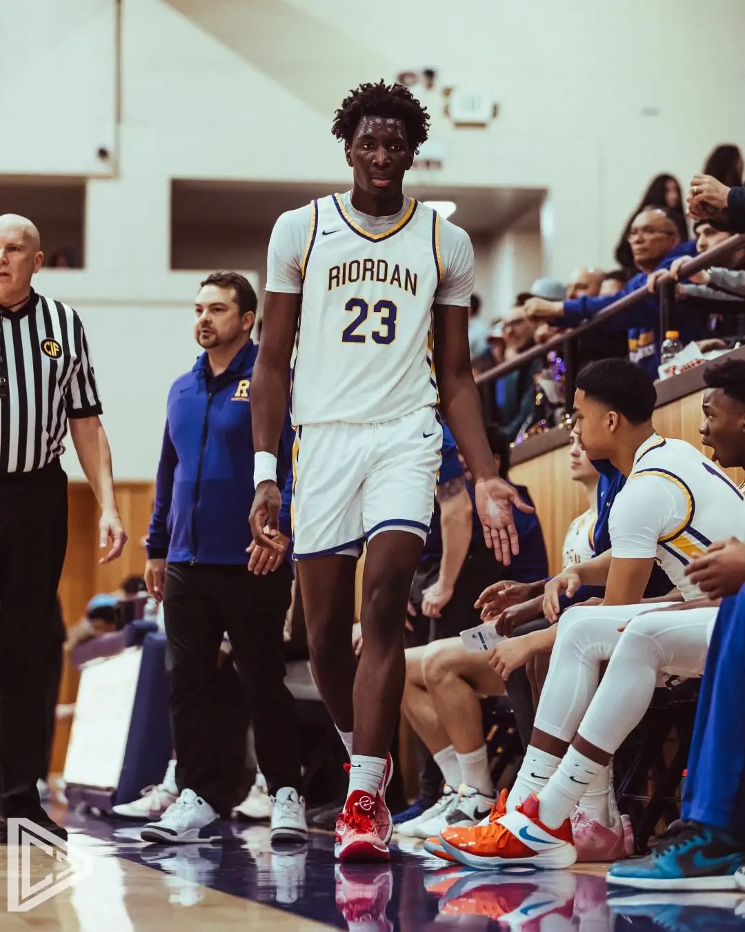 Big Nes-Athlete Profile - Dmology World